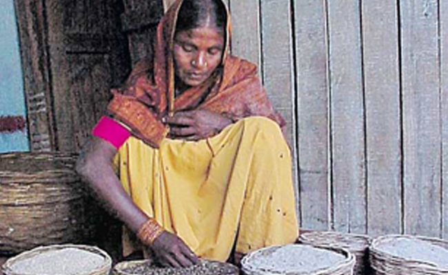 Anjamma Nadimidoddi Earns UN Praise For Its Contribution In Seed ...