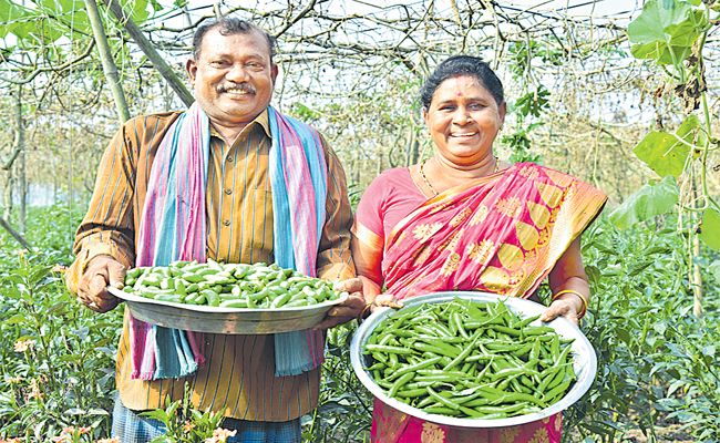 Study Reveals Natural Farming Leads For Yields, Livelihoods And Health ...