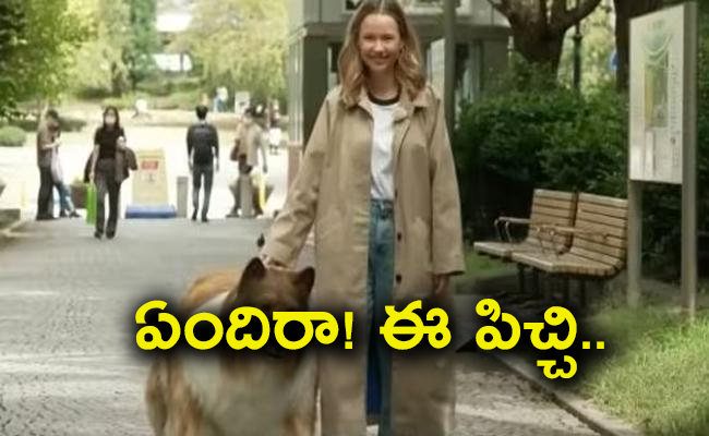 Watch: Japanese Man Spends Rs 12 Lakh To Transform Into Human Dog ... Watch: Japanese Man Spends Rs 12 Lakh To Transform Into Human Dog ...