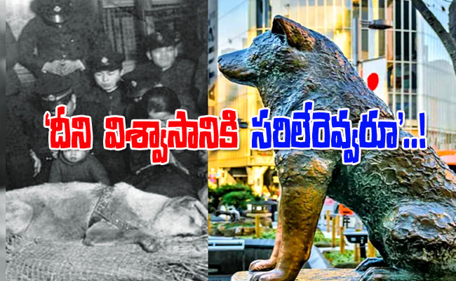 Hachiko: The World's Most Loyal Dog Turning 100 This Year - Sakshi