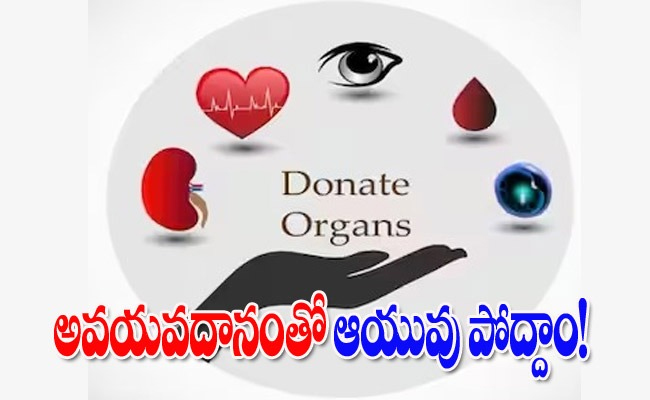 The Power of Organ Donation to Save Lives Through Transplantation - Sakshi