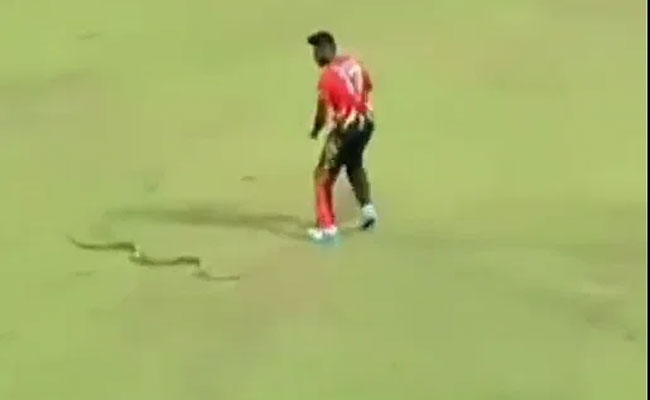 Isuru Udana Luckily Escapes From Snake In LPL 2023, Video Goes Viral ...
