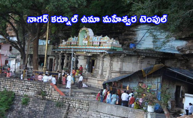 Nagar Kurnool Constituency Political History In Telugu, Know MLA ...