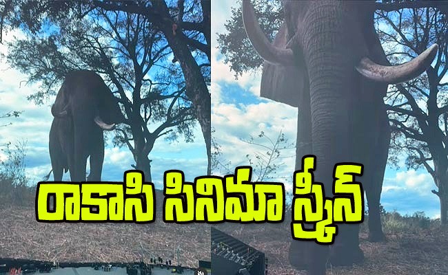 అతిపెద్ద సినిమా స్క్రీన్.. ప్రత్యేకతలు తెలిస్తే మైండ్ పోద్ది! | World ...