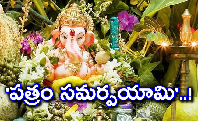 వినాయకుడి పూజలోని ఏకవింశతి పత్రాల విశిష్టత ఏంటో తెలుసా! | Ganesh ...