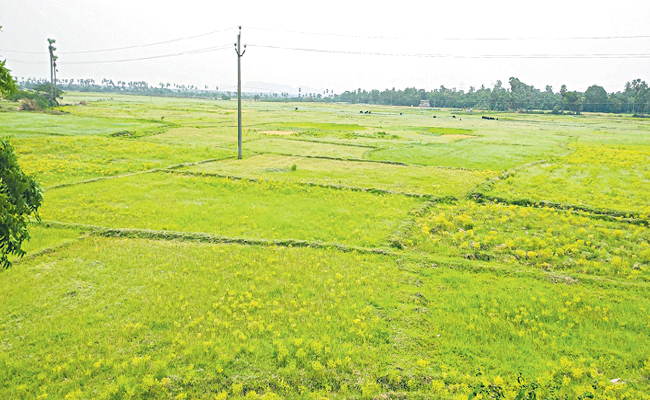 సర్వీస్‌ ఈనాం భూములపై మరింత స్పష్టత | Further clarification on service ...