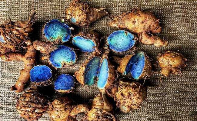 నల్ల పసుపు గురించి విన్నారా? ఎన్ని వ్యాధులకు చెక్‌ పెడుతుందంటే ...