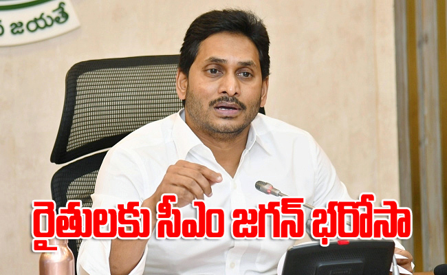 నిబంధనలు సడలించి న్యాయం చేస్తాం: సీఎం జగన్‌ | AP CM Jagan Review on Michaung Cyclone Crop Damage ...
