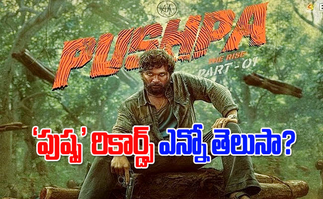 అల్లు అర్జున్‌ 'పుష్ప'గాడికి రెండేళ్లు.. ఆశ్చర్యం కలిగించే రికార్డ్స్ ...