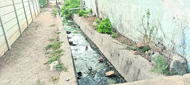 పంట కాల్వలోకి మురుగు నీరు | - | Sakshi