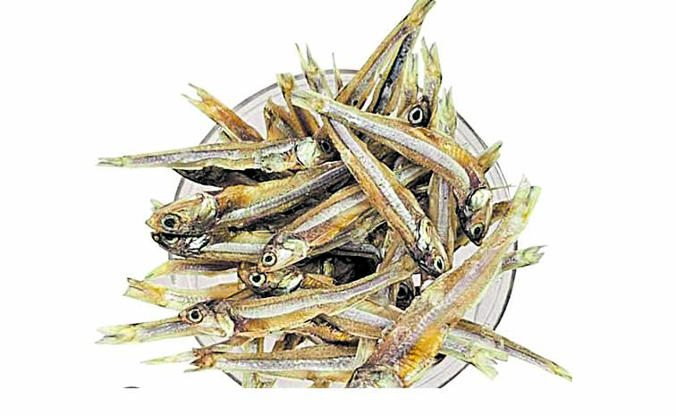 బుల్లి చేపలతో భలే మేలు! | eat fish for healthy | Sakshi