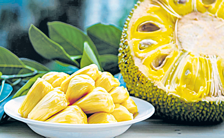 కోనసీమ పనసకు గిరాకీ | Demand for Konaseema Panasa | Sakshi