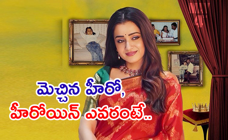 Happy Birthday Trisha : 25 ఏళ్ల కెరియర్‌లో వివాదాలతో పాటు కోట్లలో ...