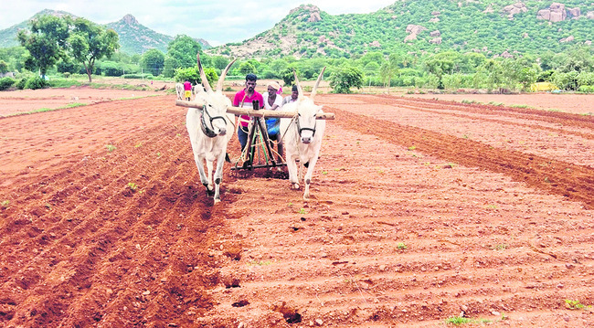 ఖర్చుల ‘గుబులు’ | - | Sakshi