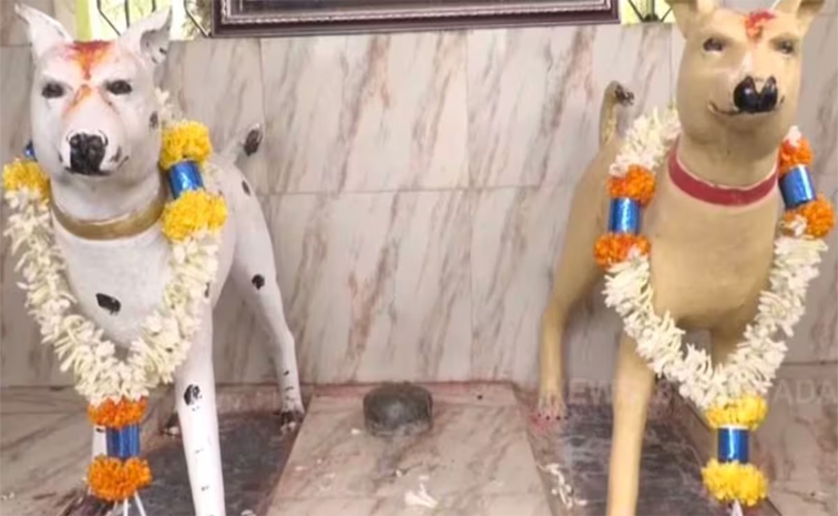 ఆ గ్రామంలో శునకాలే దైవంగా పూజలు..ఏకంగా ఏడాదికి ఒకసారి..! | Do You Know ...