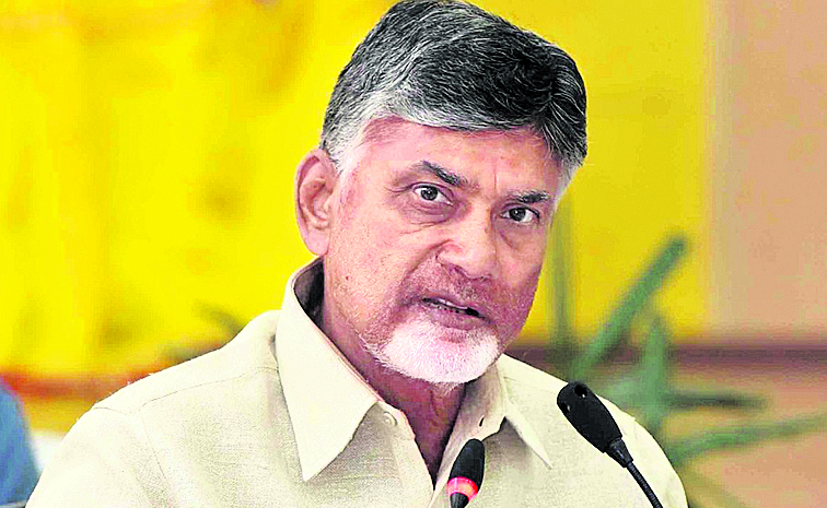 మారిన చంద్రబాబును చూస్తారు | Chandrababu in a meeting of TDP MPs | Sakshi