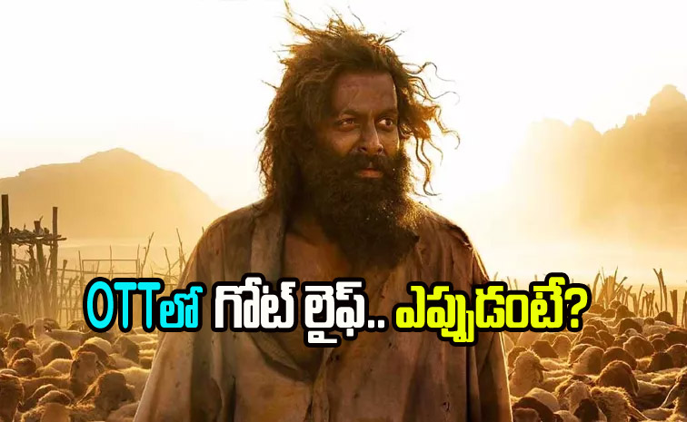 ఎట్టకేలకు ఓటీటీలోకి వచ్చేస్తున్న 'ఆడు జీవితం' | Prithviraj The Goat ...