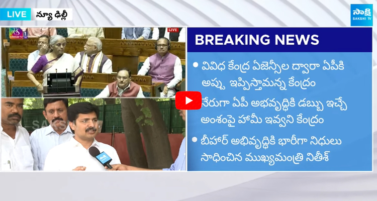 బడ్జెట్ పై YSRCP MPs కామెంట్స్.. | YSRCP MPs Comments On Union Budget 2024 2025 | Sakshi