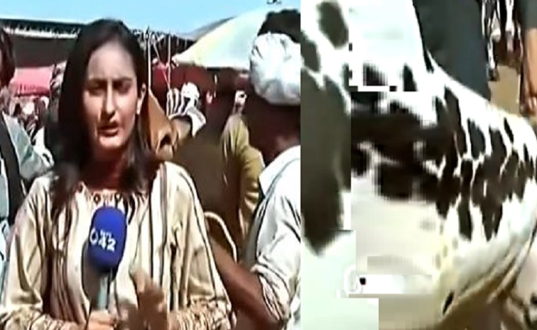 లైవ్‌ రిపోర్టింగ్‌లో‌ మహిళా జర్నలిస్టుకు షాకింగ్‌ అనుభవం | Live ...