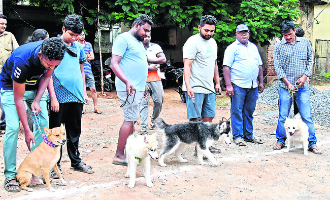 హ్యాపీ.. హ్యాపీ.. డాగీ | - | Sakshi