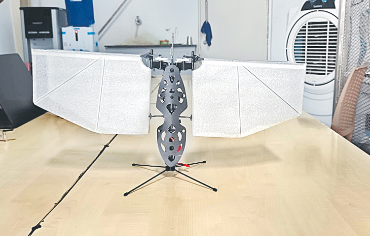 తూనీగలా తిరుగుతూ నిఘా! | Bio inspired drones in the shape of insects ...
