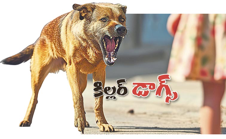 కిల్లర్‌ డాగ్స్‌! | Stray Dog Attack Cases Rising In Telangana | Sakshi