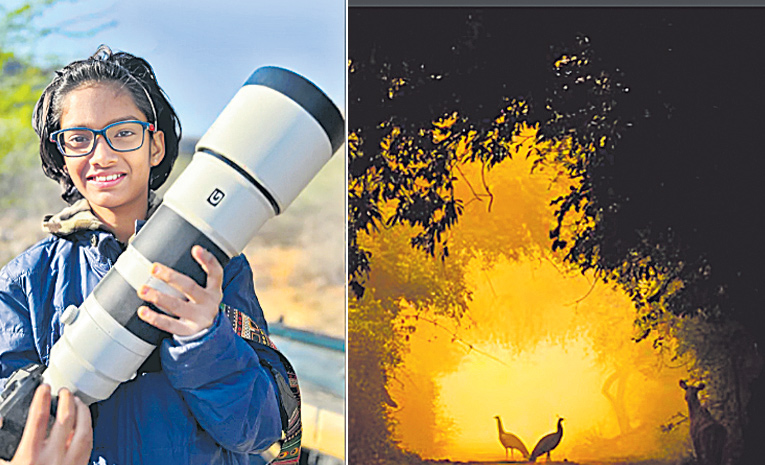 శ్రేయోవి కేరాఫ్‌ అడవి | Young prodigy Shreyovi Mehta captures wildlife ...
