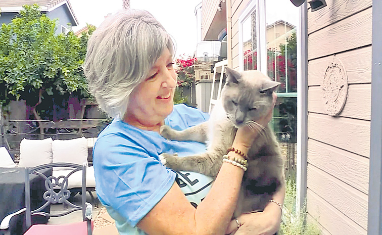 1,000 మైళ్లు..2 నెలలు | Lost cat travels from Wyoming to home in ...