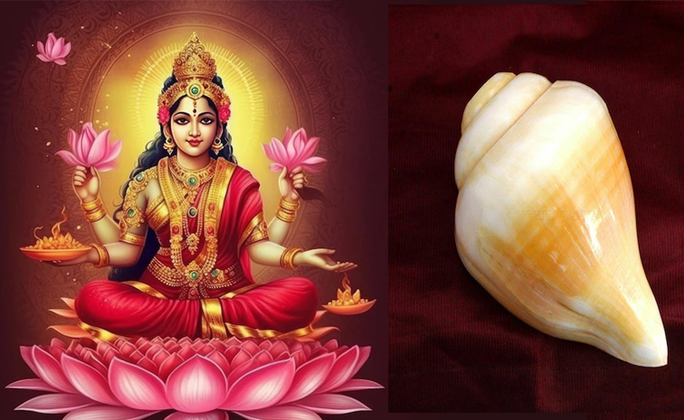శంఖం... లక్ష్మీ స్వరూపం | shankham Lakshmi Devi swarupam | Sakshi