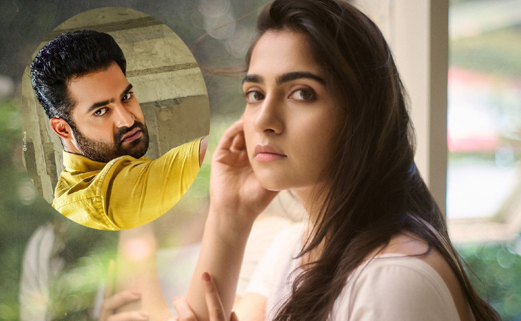 ఎన్టీఆర్-నీల్ మూవీ కోసం 'సాగరాలు' బ్యూటీ? | Rukmini Vasanth Talks For Ntr Neel Movie | Sakshi