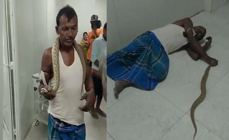 వైరల్‌: ఆసుపత్రిలో కలకలం.. కాటేసిన పామునే మెడలో వేసుకుని.. | Bihar Man ...