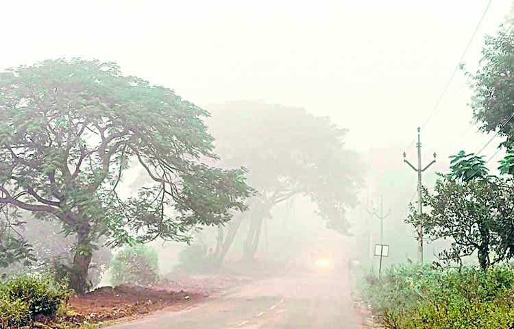 మన్యంలో మంచుతెరలు | Chintapalli forest area is surrounded by cold winds ...