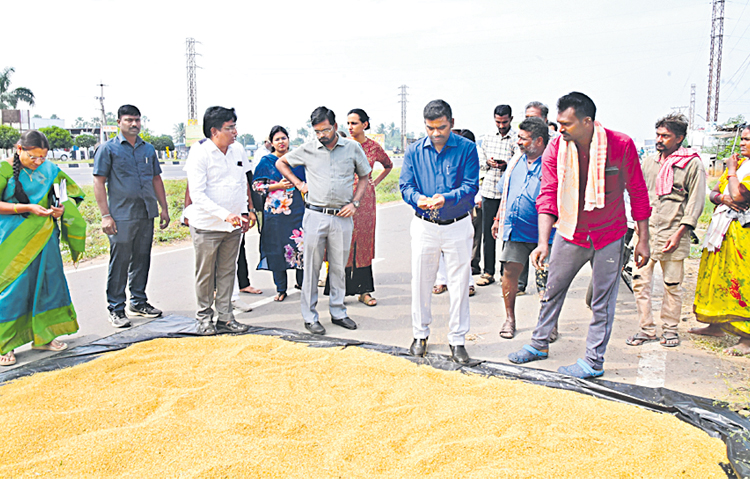 కదిలిన అధికార గణం | Grain procurement in full swing | Sakshi