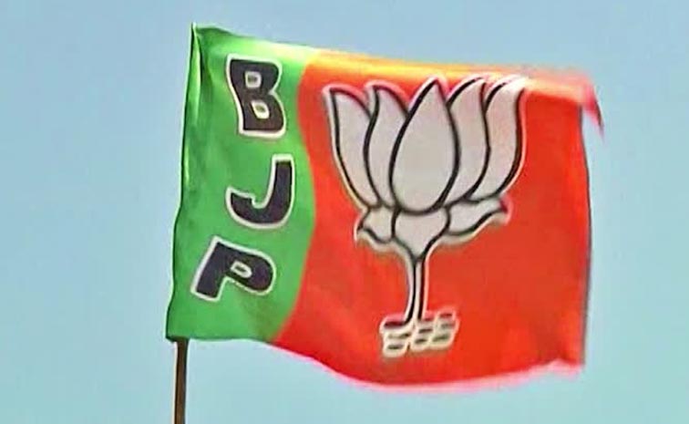ధాన్యం కొనుగోళ్లపై బీజేపీ పోరుబాట | BJP fights over grain purchases ...