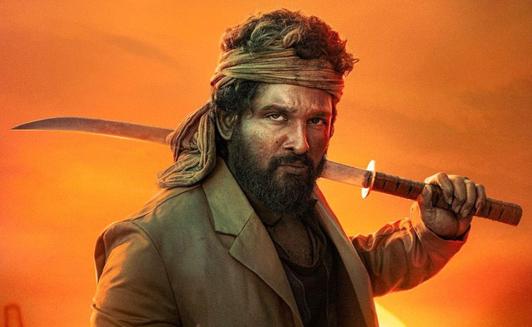 'పుష్ప 2' ఐదు రోజుల కలెక్షన్స్.. రూ.1000 కోట్లకు చేరువ | Pushpa 2 Movie ...
