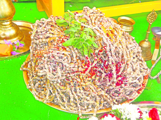 శ్రీనృసింహ దీక్ష.. సర్వ జగద్రక్ష | - | Sakshi