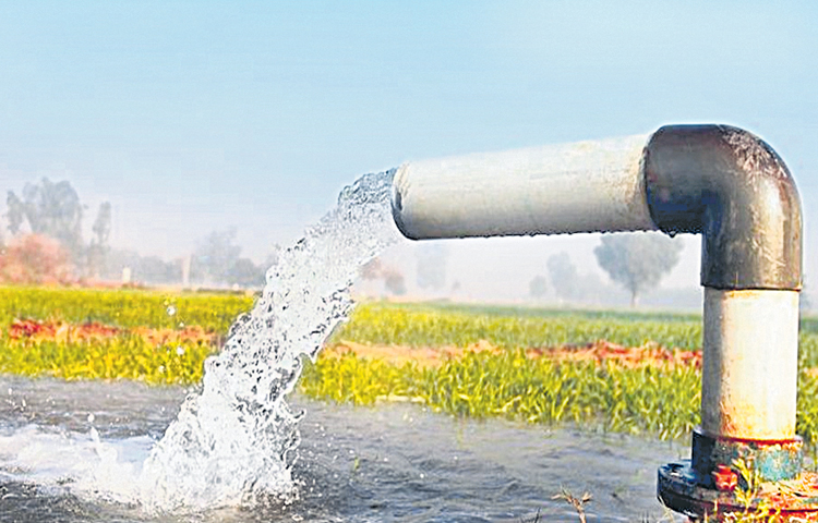 భూగర్భజలం పుష్కలం | Groundwater levels have increased this year | Sakshi