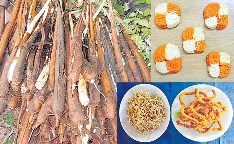 తేగలతో వంటకాలు గురించి విన్నారా..? | Palm Tree: Tati Tegalu Recipies ...