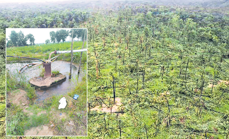 వరదలు.. పెనుగాలులు.. భూకంపం | natural disasters in telangana | Sakshi