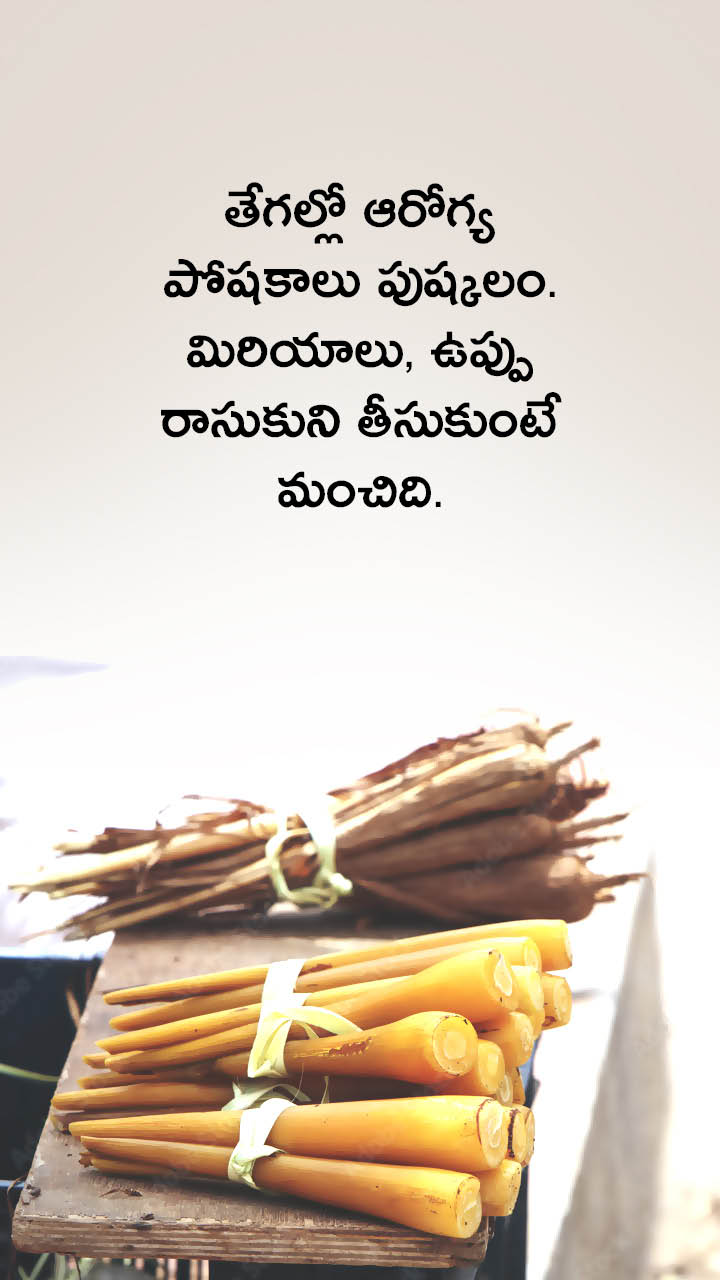 Palmyra Sprout Or Thati Thegalu Health Benefits | Sakshi