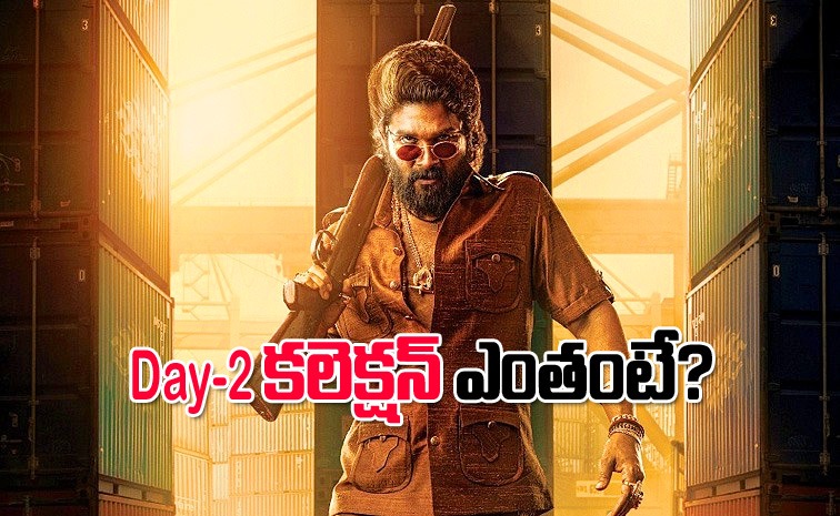 'పుష్ప 2' కలెక్షన్స్.. రెండు రోజుల్లో ఏకంగా అన్ని కోట్లు | Pushpa 2 ...