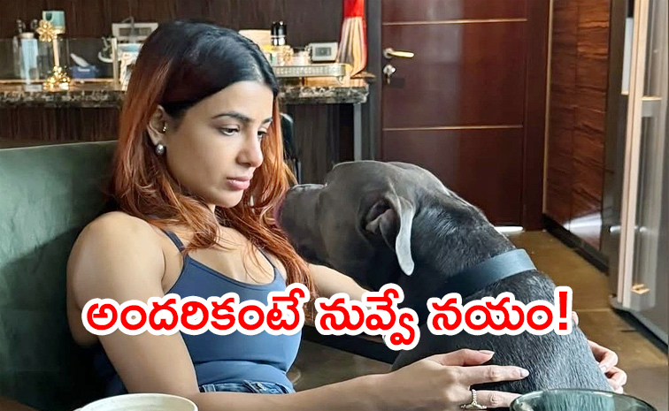'ఆ ప్రేమను మించింది మరొకటి లేదు'.. సమంత మరో పోస్ట్ వైరల్! | Heroine Samantha Post On Love Goes ...