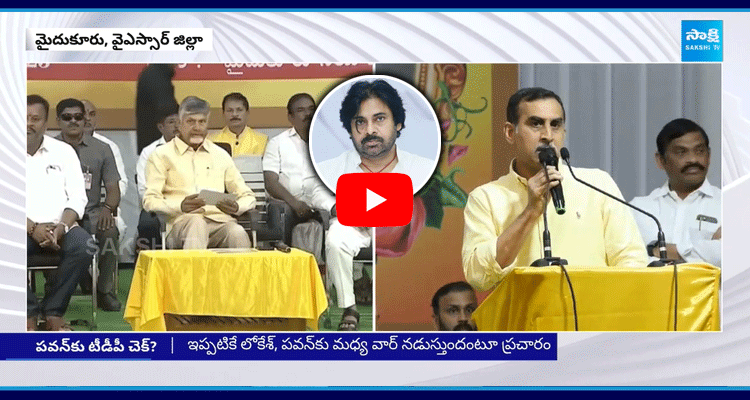 కూటమి సర్కార్ లో డిప్యూటీ CM పవన్ కల్యాణ్ కు చెక్ పెట్టేందుకు పావులు ...
