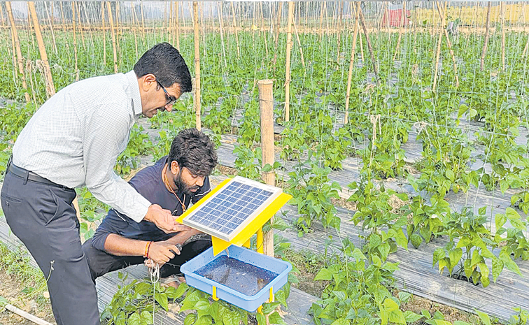 అగ్రిటెక్‌ రంగంలో భారీగా కొలువులు | Agritech Sector To Create 60-80k ...