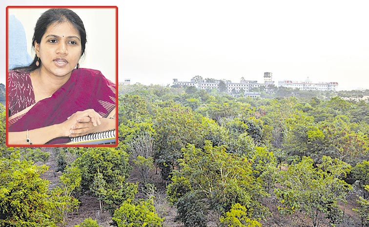 ఆమే వనమై... | Kamareddy Dist SP Swetha Reddy: Growing Haritha Haram ...
