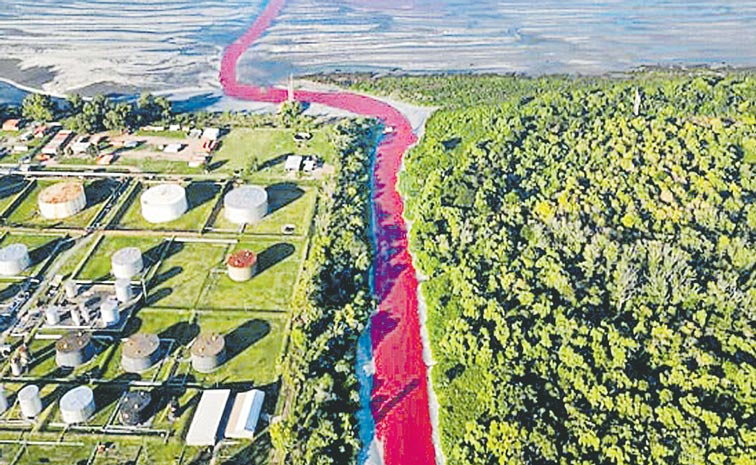 రక్తపుటేరు | Argentina canal on outskirts of Buenos Aires turns bright ...