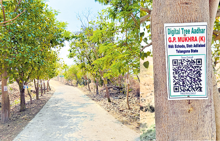 చెట్టూ... నీ చరిత్ర చెప్పూ.. | QR code to reveal trees life history ...