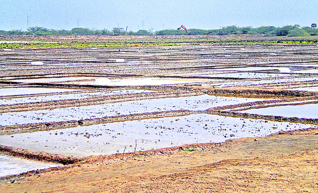 కూటమికి విమానం మోత | - | Sakshi