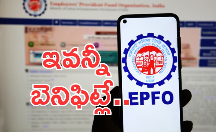 ఈపీఎఫ్‌ఓలో ఇన్ని రకాల పెన్షన్లు ఉ‍న్నాయా? | EPFO Pension Schemes Early ...