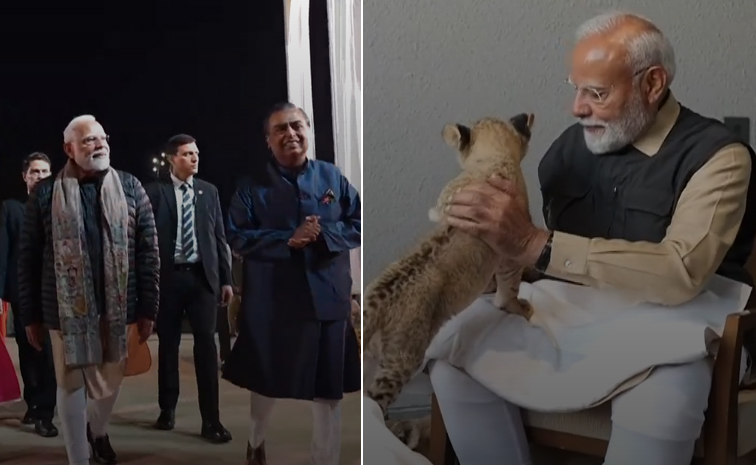 అంబానీ వంతారా: పులి పిల్లలతో నరేంద్ర మోదీ - వీడియో | PM Narendra Modi ...